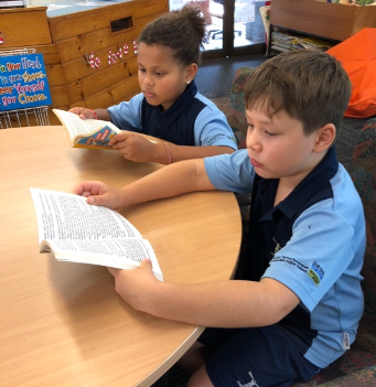 Reading Programs - PM and Literacy Pro